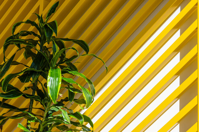 SOQUIJ - Société québécoise d'information juridique